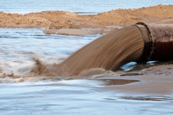 Ecologie : dépollution des sols