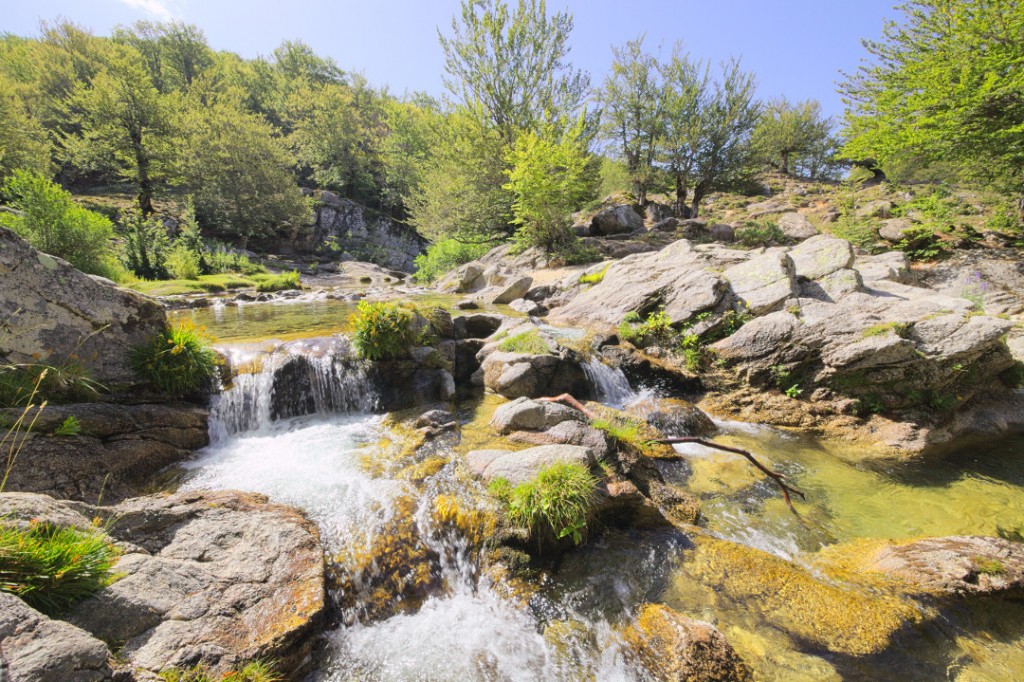 Parlons de l'île de Beauté, parlons de la Corse