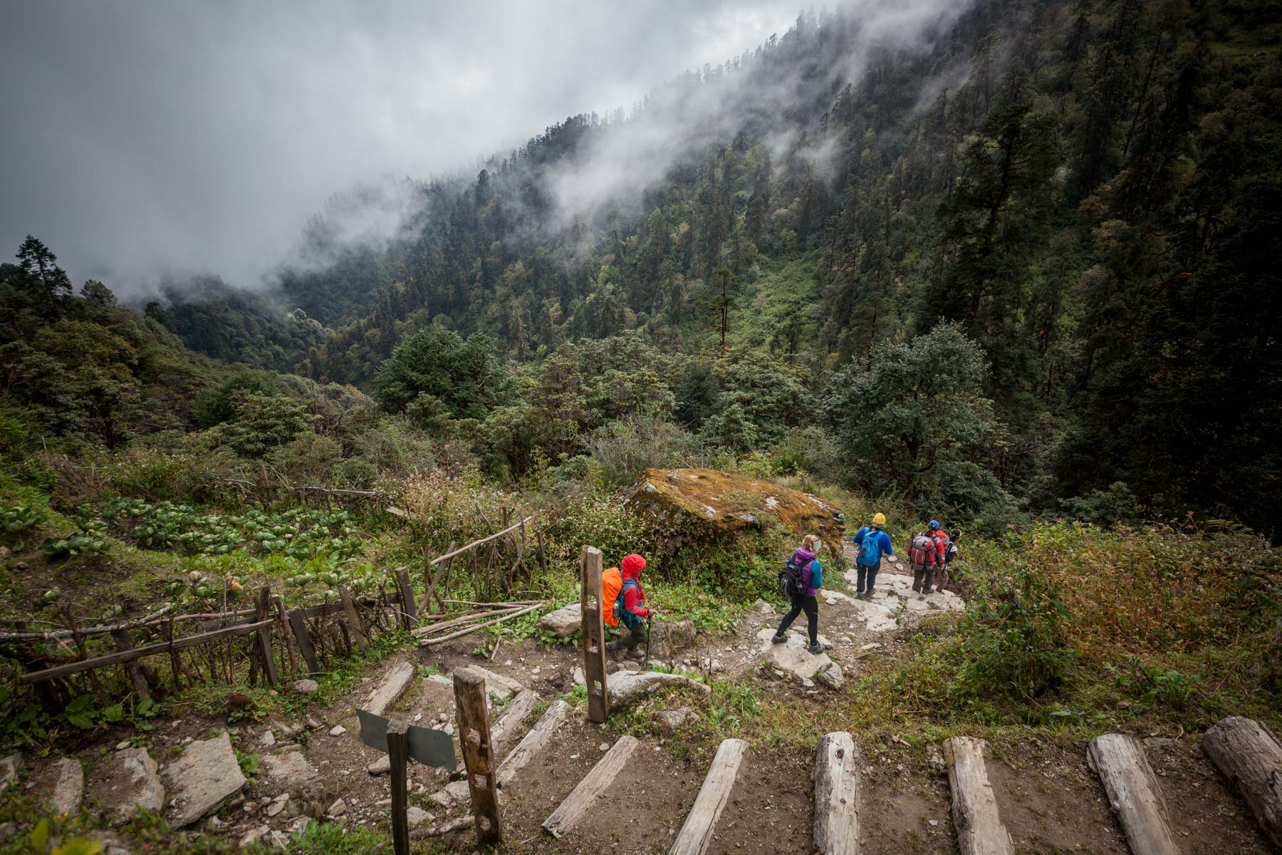 Rêve de Népal : Trek du Camp de base de l'Everest